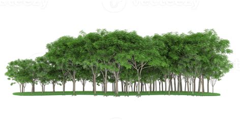 Realistic Forest Isolated On Transparent Background D Rendering