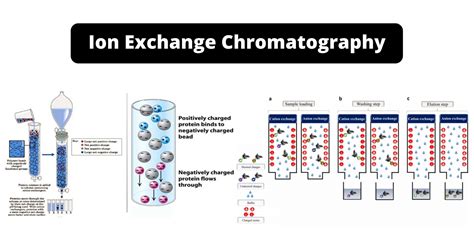 Colorimeter Definition Principle Parts Procedure Applications Biology Notes Online