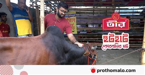 গরুর ছবি তুলতে নাকি ৫০ টাকা লাগে প্রথম আলো