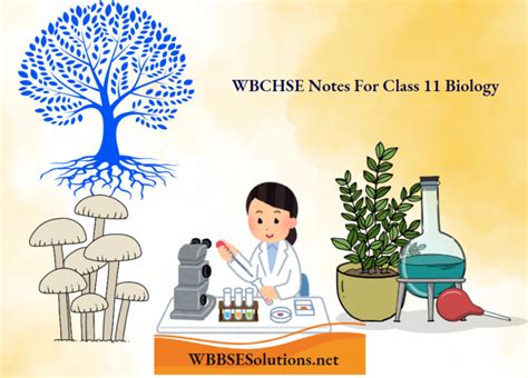 Wbchse Notes For Class 11 Biology Wbbse Solutions
