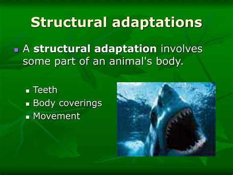 Ppt Animal Adaptations Powerpoint Presentation Free Download Id