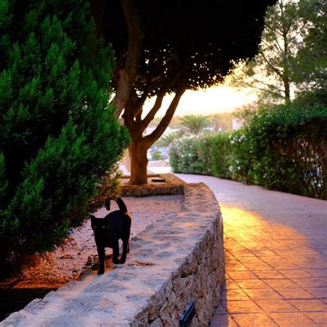 Gillian Taylor Gillytphotography • Instagram Photos And Videos