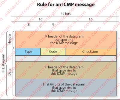 Network Layer The Kingdom of Mr IP Saber Lógica