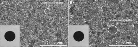examination of morphology of fr pdi a and sm pdi b using sem