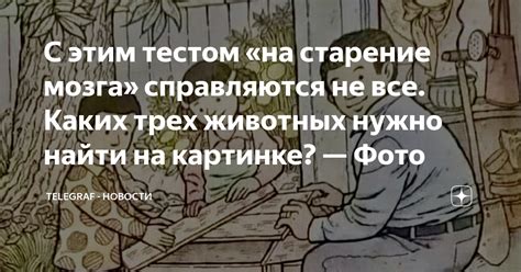 С этим тестом «на старение мозга справляются не все Каких трех животных нужно найти на