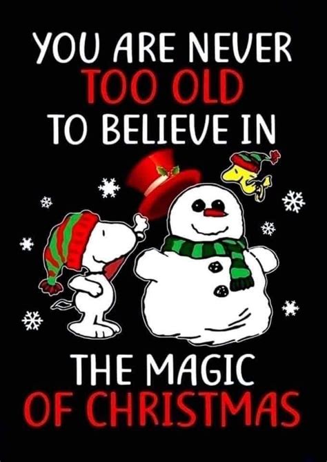 Pin By Dave Canistro On Charlie Brown Christmas Peanuts Gang