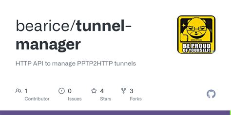 Github Bearicetunnel Manager Api To Manage Pptp2 Tunnels