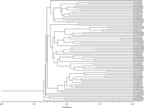 Dendrogram Derived From Polymorphic Dna Analysis Of 70 Isolates Of