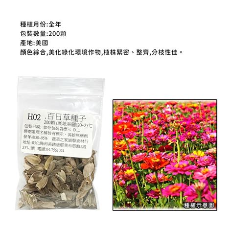 蔬菜之家滿額免運冬季可栽培花卉種子系列 各包裝數量詳見內文及圖片 魯冰花 波斯菊 蜀葵 金盞花 醉蝶花 鼠尾草 等 蝦皮購物