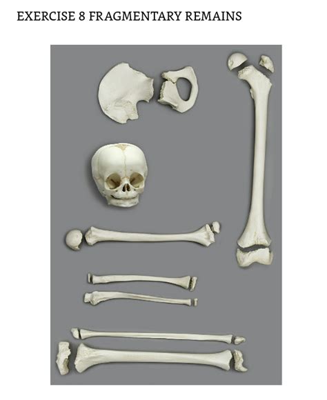 Solved Refer To The Images In The Lab Exercise Image Li Chegg