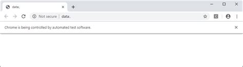 c selenium webdriver chromedriver slow to launch why stack overflow