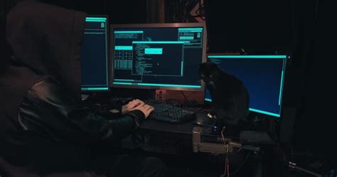 Premium Photo Hacker In A Hood Sits In Front Of Computer Screens And
