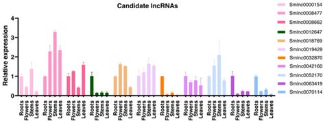 Integrated Analysis Of LncRNAs MRNAs And TFs To Identify Network Modules Underlying