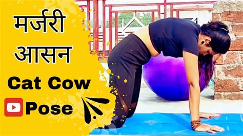 Cat Cow Pose Marjaryasana Bitilasana Youtube
