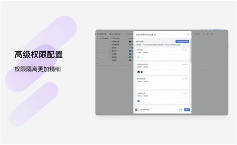 Developer