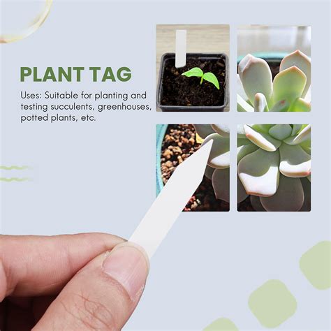 500 Pcs Reusable Pvc Plant Tag Label Tree Fruit Seedling Garden
