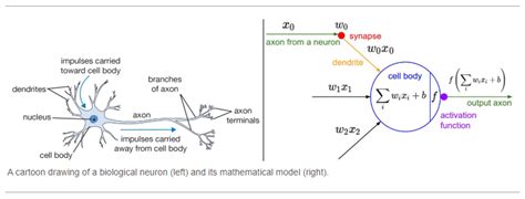 Everything You Need To Know About Activation Functions” In Deep