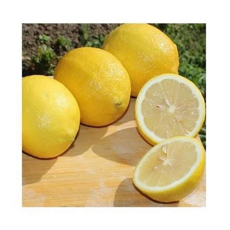 A Grade Fresh Yellow Lemon Packaging Size 10 Kg Packaging Type