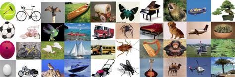 Sample Images In Caltech 256 Dataset Download Scientific Diagram