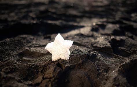 【星に関する季語】種類や季節を理解しよう 星空や星月夜•満天星など春夏秋冬別にわかりやすく解説 俳句の教科書｜俳句の作り方・有名俳句の解説サイト