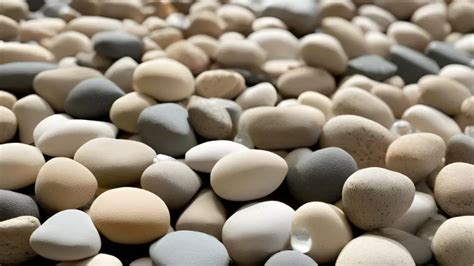 How To Choose An Aquarium Substrate Understanding The Ground Level