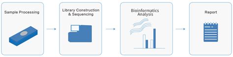 Ffpe Rna Seq Novogene