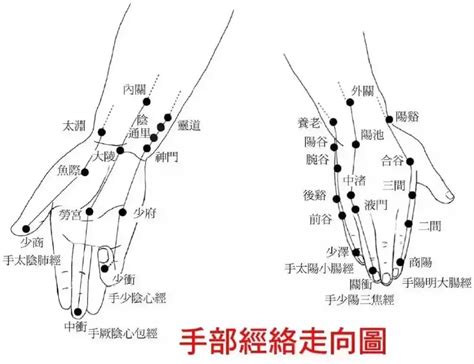 靠一双手就能按摩全身，从头到脚疏通经络，就这么简单 搓双手 梳头 捏肩膀 揉腹 揉腰 揉大腿 搓脚底 总结： Nestia