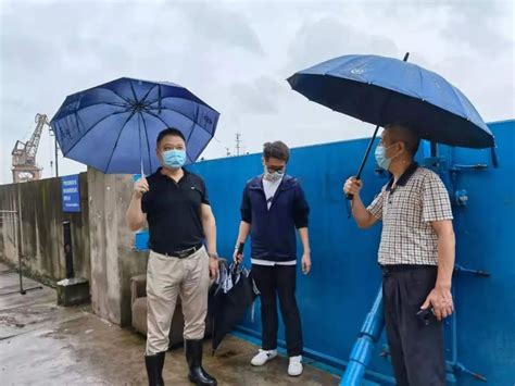杨浦区联合开展汛期危化品和安全生产检查，确保安全度汛澎湃号·政务澎湃新闻 The Paper