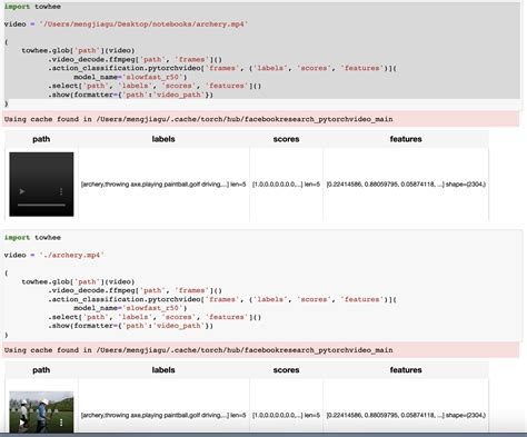 [bug] display video fails with absolute path · issue 1341 · towhee io