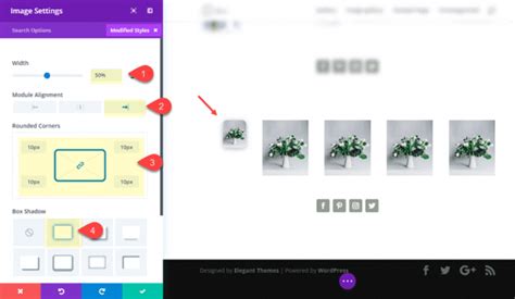 Image Gallery Designs Using Divi S New Column Layouts