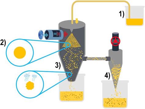 Co Microencapsulation A Promising Multi Approach Technique For Enhancement Of Functional