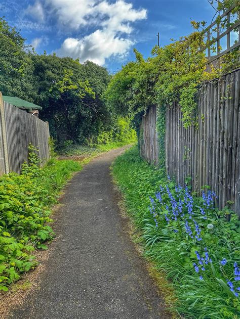 Hey All What Word Do You Use For This 🩶 Alley 🩶 Alleyway 🩶 Path