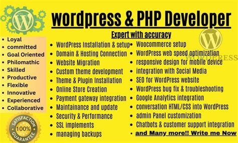 fix website bugs premium design wordpress blog themes plugins