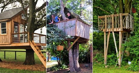 DIY Tree House 30 Free Plans Blitsy