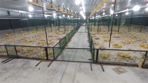 Lahiru Harshana On Linkedin Placement