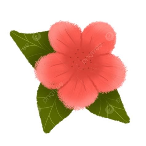 Red Flower Bouquet The Beautiful Red Flower Bouquet Cute Red Flower
