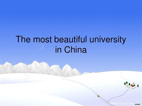 大学word文档在线阅读与下载无忧文档