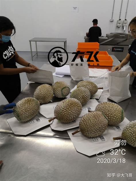 猫山王榴莲太贵，但是很难买到好的，是因为你不知道这3点 知乎