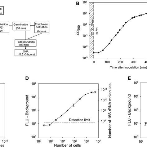 Methods For Detection Of Bacillus Spores Download Table