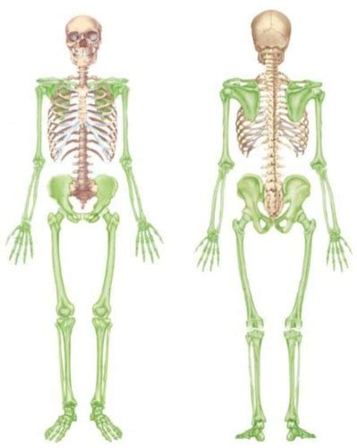 Chapter 8 Learn Smart Flashcards Quizlet