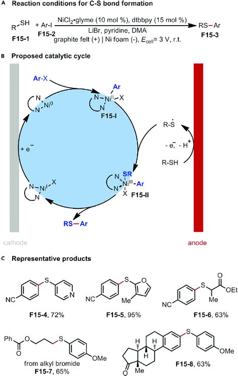 Electrochemical Ni Catalyzed CÀs Bond Formation Download Scientific