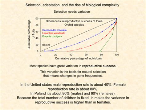 Patterns Of Speciation And Extinction