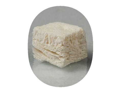 Ossix™ Bone Mineralized Collagen Sponge Powered By Glymatrics®