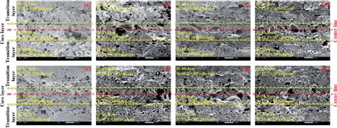 The Cellular Structure Of Vertical Sections Of Different Composites Download Scientific