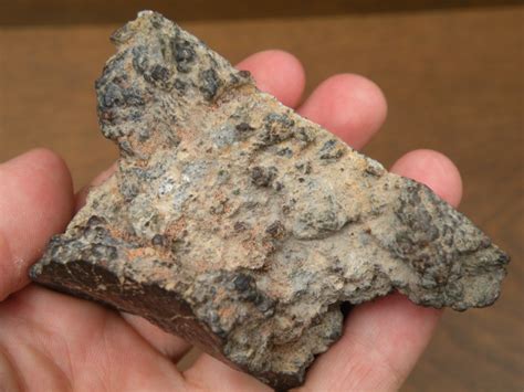 Nwa 3197 Anomalous Howardite Meteorite Gallery