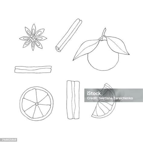 계피 스타 아니스 오렌지 과일의 향신료 믹스 멀드 와인과 베이킹을 위한 재료 흑인과 백인 윤곽선 그림 손으로 그린 벡터 그림입니다 색칠 메뉴 카드 인쇄 포장 초대장 가지