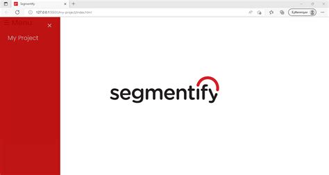 Github Nurcanntsegmentifyproject