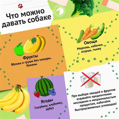Полезные лакомства для собак | Российская кинологическая федерация | Дзен