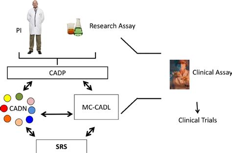 Overview Of The Workflow Of The Clinical Assay Development Program Download Scientific Diagram