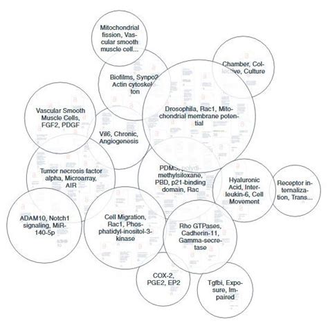 The Open Knowledge Map For The Query Cell Migration Download Scientific Diagram